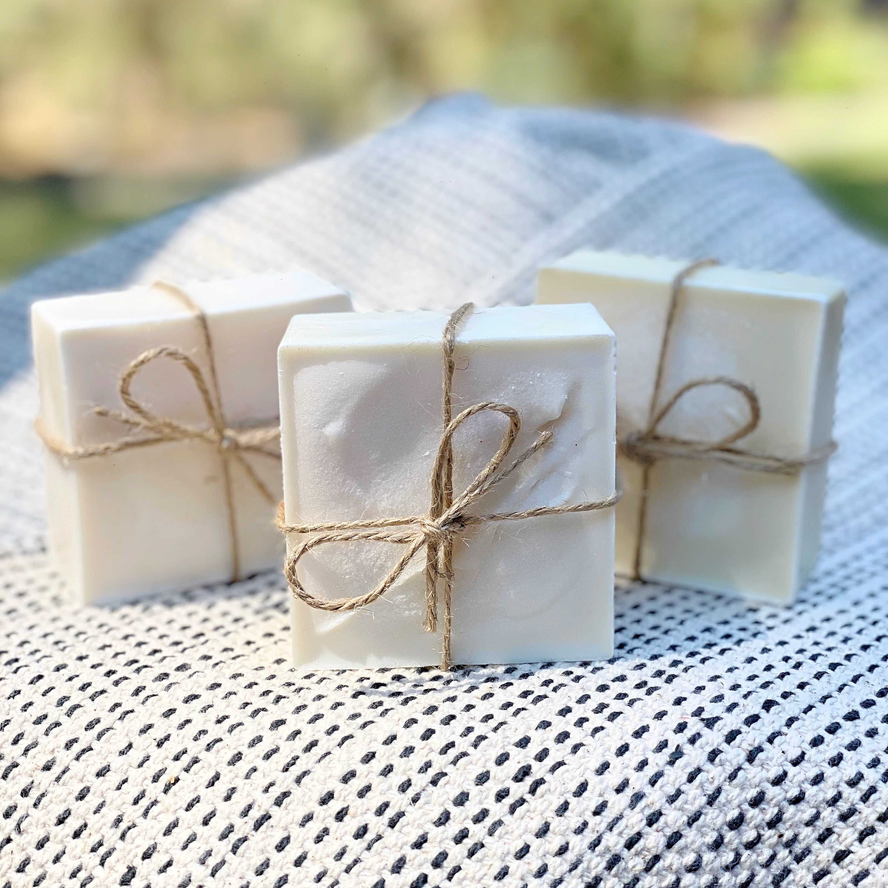 Dish Soap – American Flat Soap Co.